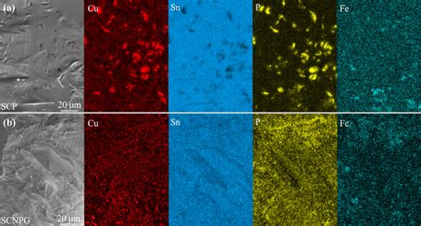 Sem And Eds Elemental Mapping For Dross Of A Scp B Scnpg Download