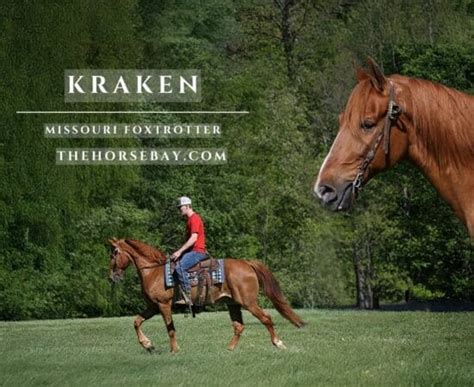 Trevor Patrick Archives