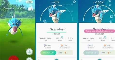 Best Moveset Pokemon Go Gyarados Tips And Guides ⋆ Interaction