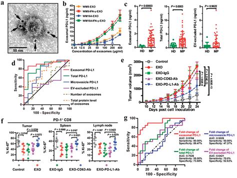 Exosomal Pd‐l1 Contributes To Immunosuppression And Is Associated With Download Scientific