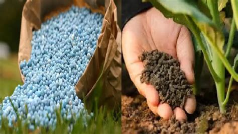 Cost Effectiveness Organic Vs Inorganic Fertilizers Over Time
