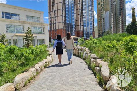 Та гэр бүлийн харилцаанд үүссэн маргааныг эерэгээр шийдвэрлэж чаддаг уу