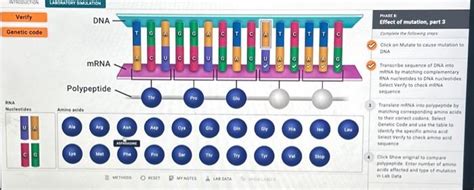 Musts Effect Of Mutation Part 3 Cowplere The