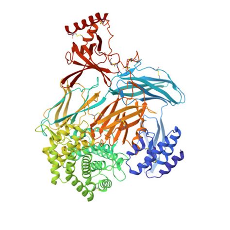 Rcsb Pdb 5hcd Ternary Complex Of Human Complement C5 With Ornithodoros Moubata Omci And