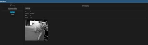 Building Cross Platform Gui Apps In Rust Using Egui Logrocket Blog