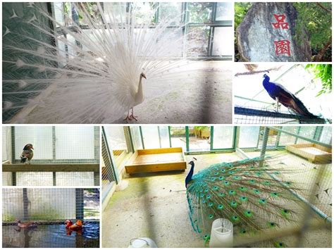 品園~苗栗日式莊園、蘇氏豪宅、美麗花園 小品~就是愛旅行