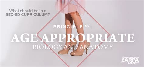 What Should Be In A Sex Ed Curriculum ARPA Canada