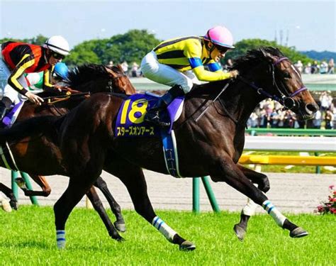 2冠牝馬スターズオンアース、左前肢の繋靱帯炎で年内休養 競馬ニュース Netkeiba