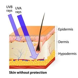 Sun Screen Debunked UVA UVB SPF Advance ER