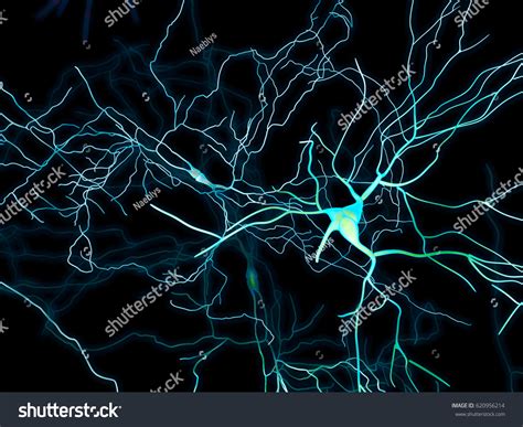 뇌 뉴런 시냅스 신경망의 신경망 회로 스톡 일러스트 620956214