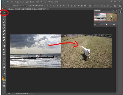How Create Pdf With Up Of My Design Adobe Product Community