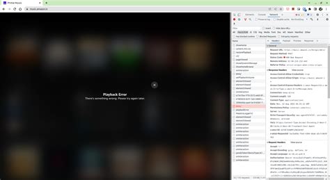 Getting Playback Error While Playing Music From Browsers In Linux