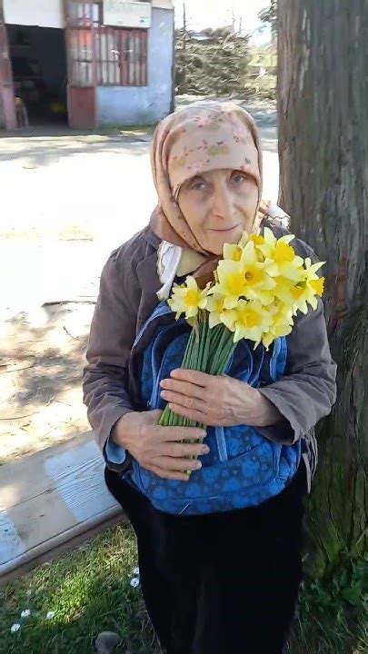 დედიკოს საჩუქრად ნარცისები Youtube