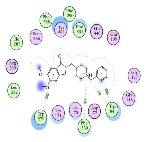 Structural Models Of Berberine As Achei Three Plots Are Represented Download Scientific