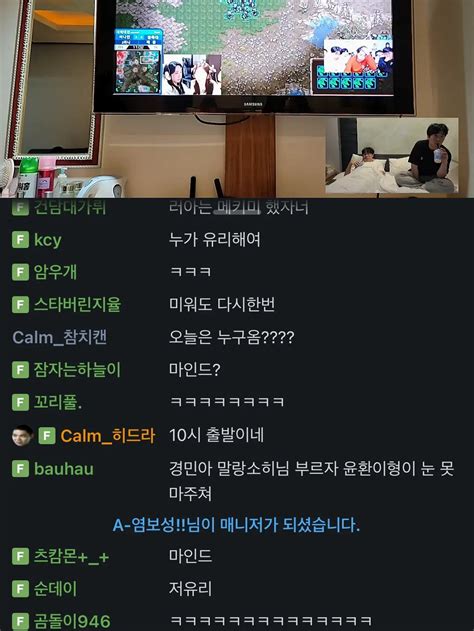염보성 근황 스타크래프트 에펨코리아