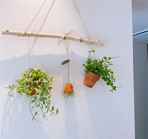 내 돈 내고식물 초보의 식물 인테리어 3 행잉플랜트 키우기 네이버 블로그