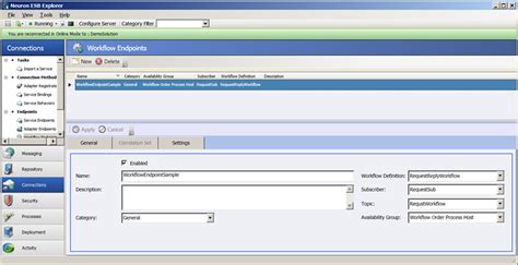 Neuron ESB Workflow Environment Peregrine Connect
