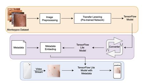 According To A New Artificial Intelligence Ai Research Study A Mobile Application That Uses