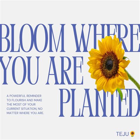 Tejaswini Hb On Linkedin Teju Linkedin