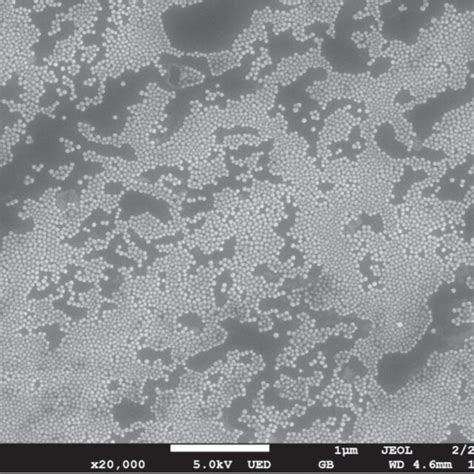 Sem Morphology Of Sio2 Particles Download Scientific Diagram