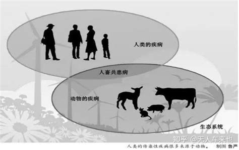 人病兽防，关口前移 河南省农业农村厅印发人畜共患病和非洲猪瘟知识手册 知乎