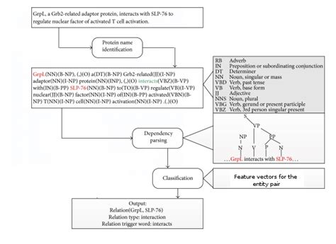 Overview Of Binary Relation Extraction Process Developed In This Work Download Scientific