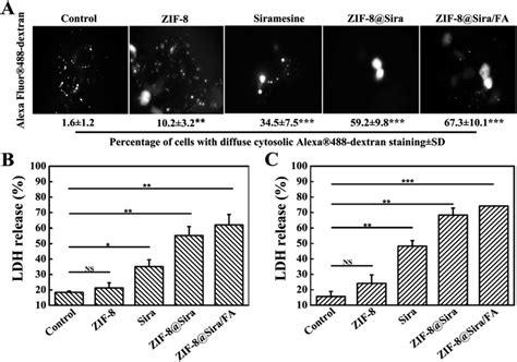 Mechanism Investigation A Visualization Of LMP P