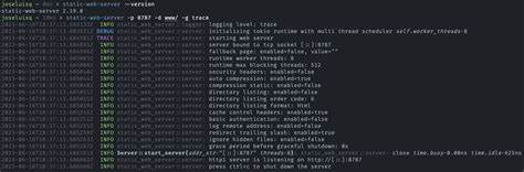 Static Web Server 高性能跨平台静态文件服务器 懂ai