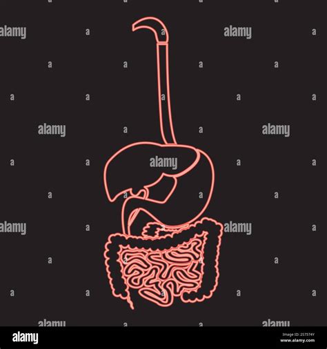 Neon Digestive System Red Color Vector Illustration Image Flat Style