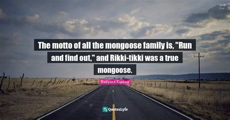 Best Mongoose Quotes With Images To Share And Download For Free At Quoteslyfe