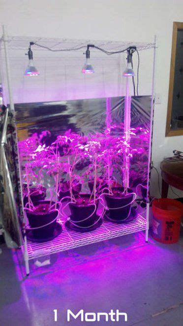 Automatic Plant Watering System With Arduino Artofit