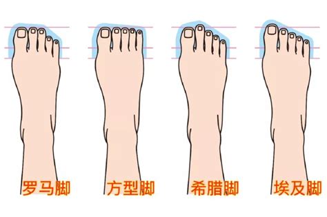 準爆！你是哪種腳型？秒解你的「性格、天賦、未來伴侶」 娛樂 Nownews今日新聞