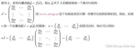 Pytorch基础知识之：张量 自动求导 并行计算张量并行 Csdn博客