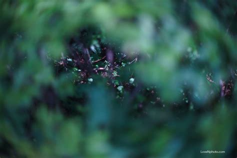 노래하는 풍경 내가 욥에게 말하였던 것처럼 바람이 어디로부터 와서 어디로 가는지 사람이 태어나기 Facebook