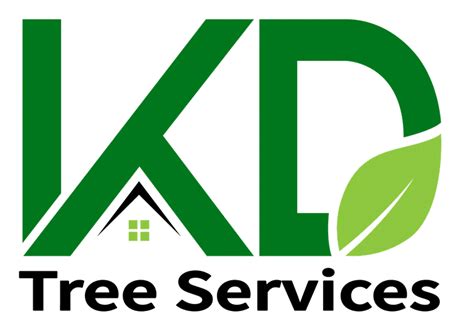 Professional Tree Service Albany Ny Kd Tree Services