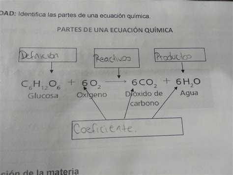 Htifica Las Partes De Una Ecuación Quimicapartes De Una EcuaciÓn