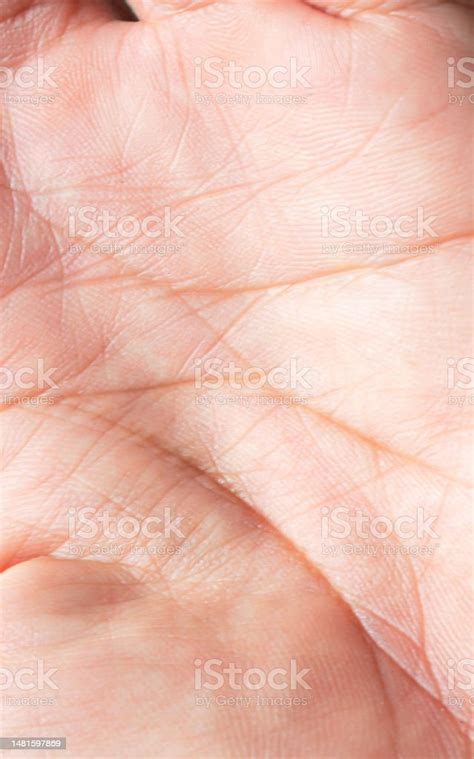 인간 손바닥의 피부 질감의 매크로 이미지인간 손바닥의 표면 질감의 매크로 이미지신체 인간의 주름으로 피부 질감을 닫습니다손 근접
