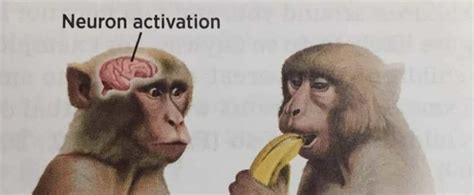 Why Do We Need Activation Functions By Wysocki Przemysław Medium