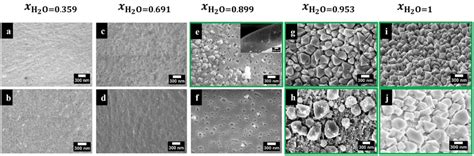 Sem Micrographs Of Au Electrodes Corroded At ‐16 V Vs Rhe For 60 S In