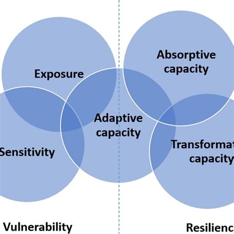 Relationship Between Vulnerability And Resilience Download Scientific