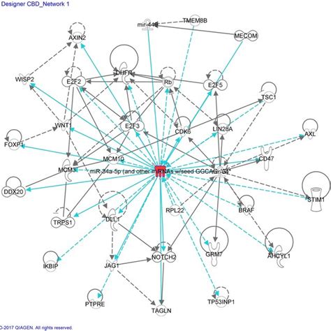 Mirnamrna Gene Network Associated To Cbd Treated Microglial Cells