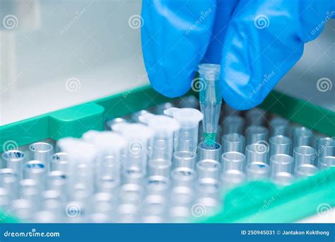 Real Time Pcr For Identification Of Pathogen Dna Stock Image Image Of