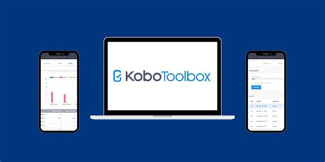 Design Custom Kobotoolbox Forms With Advanced Logic And Validation By