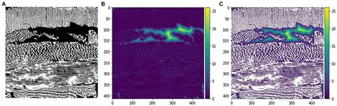example of euclidean distance transform on an x ray ct image of osb download scientific