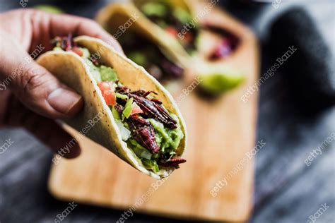 Hand Holding Tacos De Chapulines Or Grasshopper Taco Traditional In