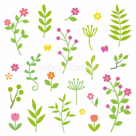 最も検索された 草花 イラスト イラスト画像ギャラリー