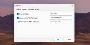 Lightshot Not Working On Windows 11 Fix