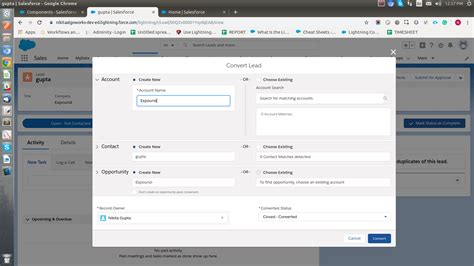 what are the record type that can be updated when converting a lead in