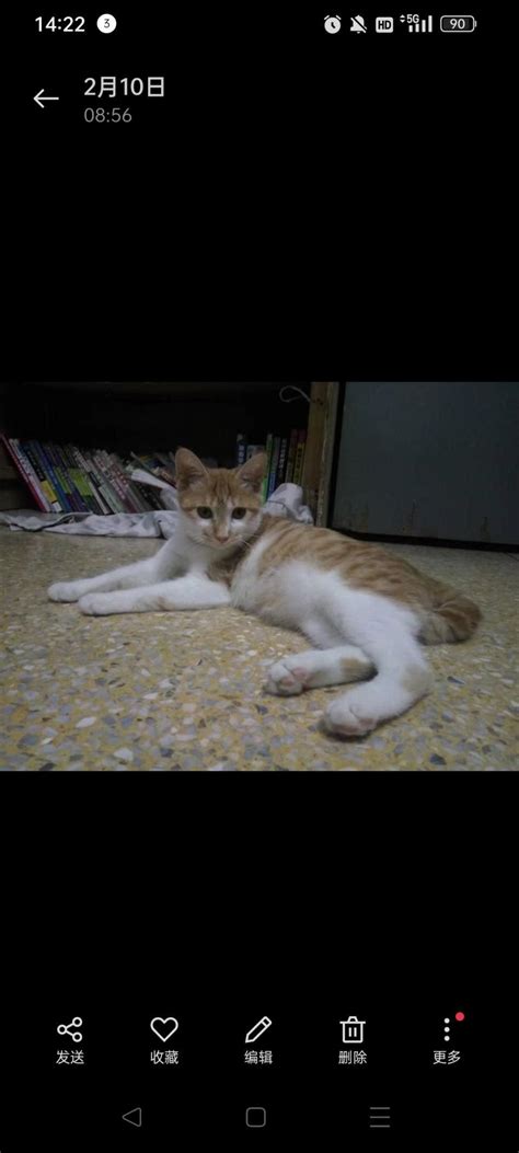 这三个方法教会你图片怎么加水印csdn如何给图片添加水印 Csdn博客