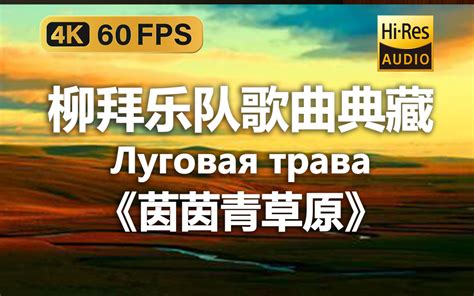 【4k Hi Res 黑胶试听】茵茵青草原 Луговая трава 柳拜乐队歌曲典藏 格鲁吉亚臭鞋匠 柳拜：来，对着过去的最后回眸 哔哩哔哩视频